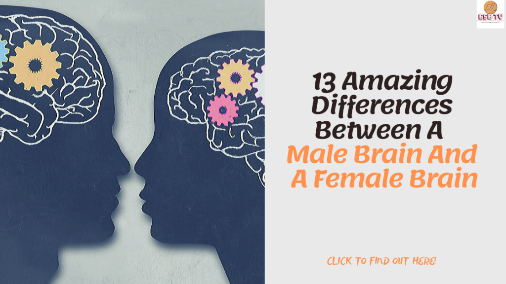 13 Amazing Differences Between A Male Brain And A Female Brain
