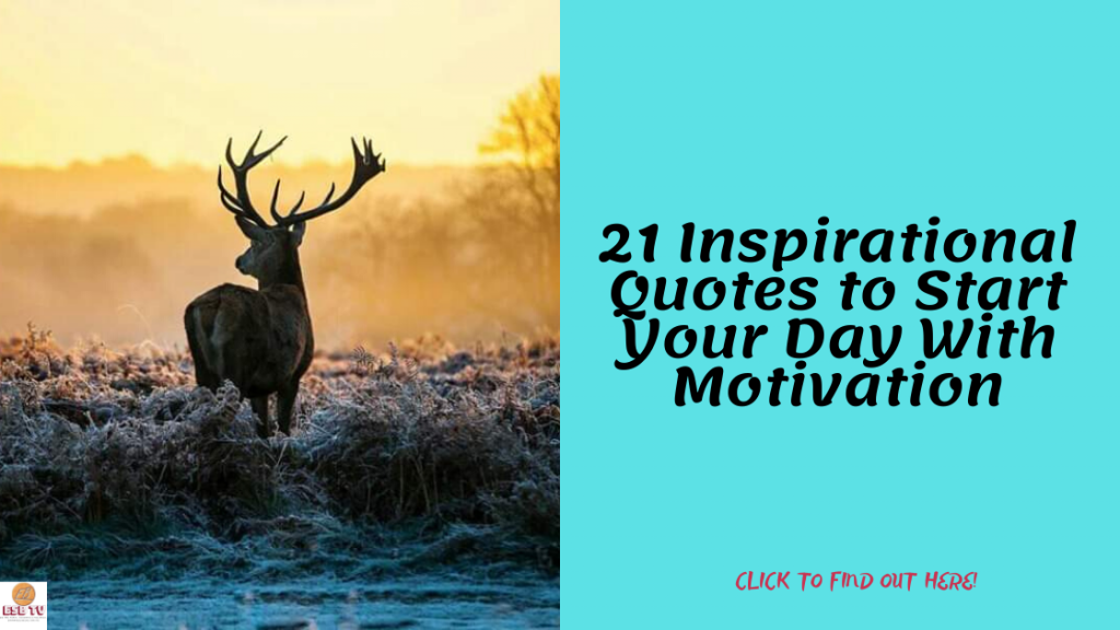 15 Inspirational Quotes to Start Your Day With Motivation