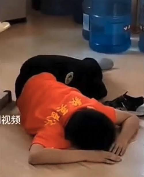 Martial arts student 'beaten to death by instructor' the day after ...