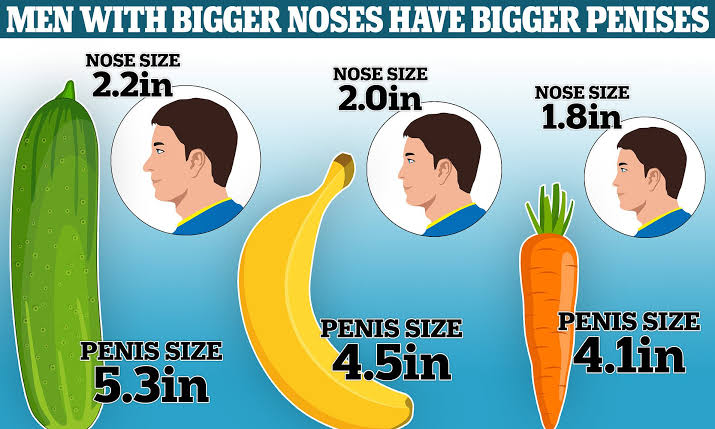 Men With Long Noses Really DO Have Bigger Penises Scientists Confirm