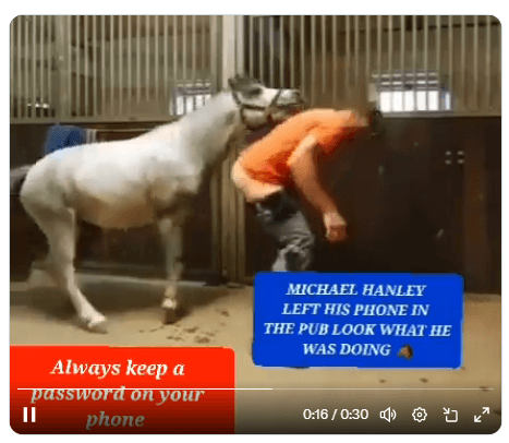 18+: Shocking video of man being mounted by horse causes the case of Mr ...
