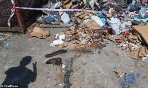 MYSTERY as human legs still wearing black socks and trainers are FOUND ...