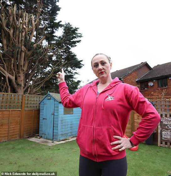 Two neighbours at WAR over fence after branches of 'a dangerous tree ...