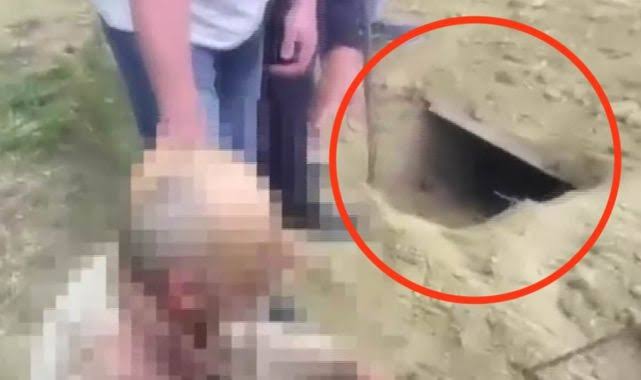 Man buried alive for 4 days RESCUED after police hear his muffled cries ...