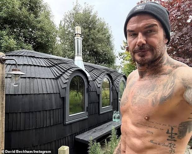 David Beckham shows off his chiselled abs as he GOES 'idyllic' with his ...